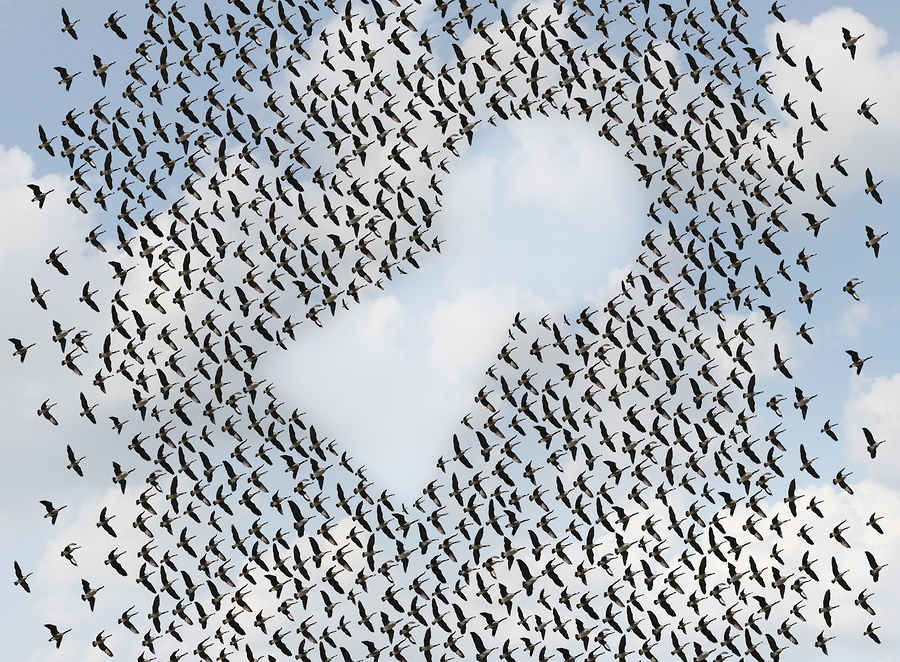 8 keys to Twitter success